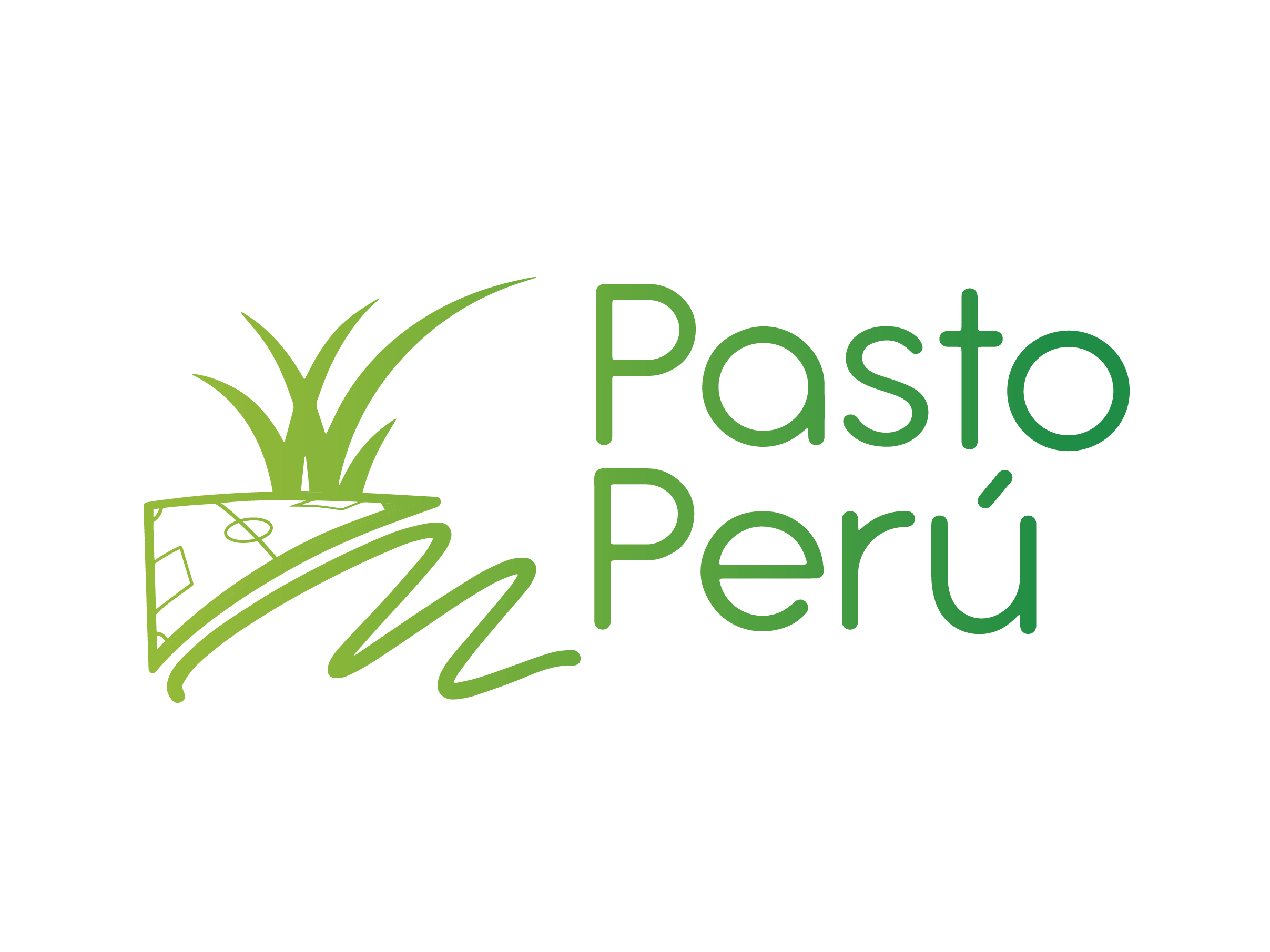 Pasto Perú - Grass Artificial